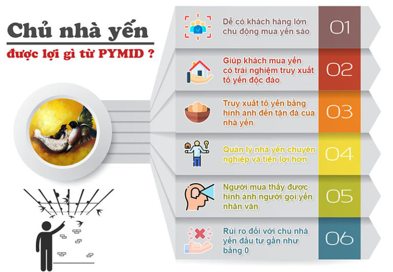 Giới thiệu về Pymid