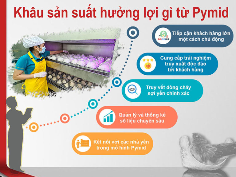 Giới thiệu về Pymid