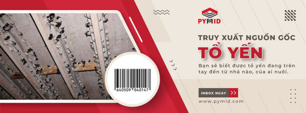 Giới thiệu về Pymid