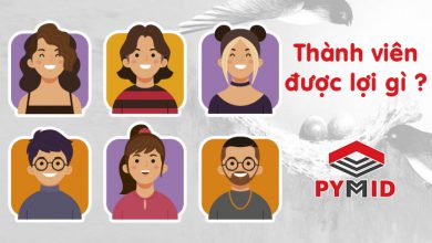 Yêu Yến Yêu Việt Nam Miễn Phí có gì hay - Pymid