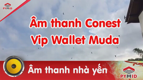 Âm chim giao phối Vip Wallet Muda (Conest) tặng Free từ Pymid