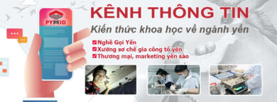 Pymid - Truy xuất nguồn gốc yến sào và tổ yến Việt Nam