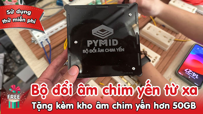 Bộ đổi âm thanh nhà yến từ xa - Thiết bị Pymid
