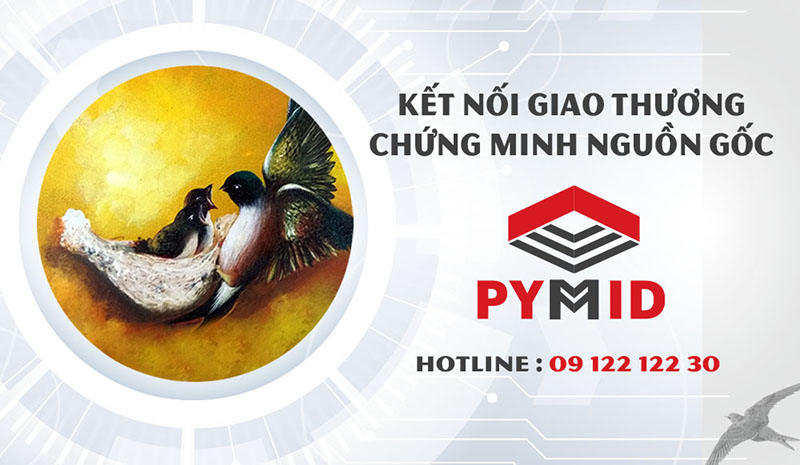 Pymid - Kết nối giao thương, Chứng minh nguồn gốc