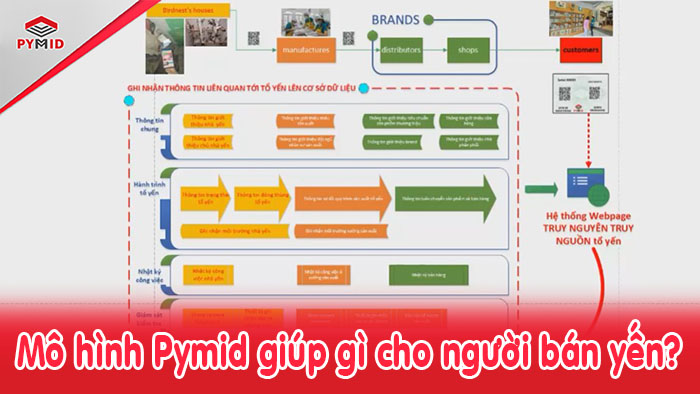 Chuyển giao giải pháp - Truy nguyên truy nguồn - Pymid